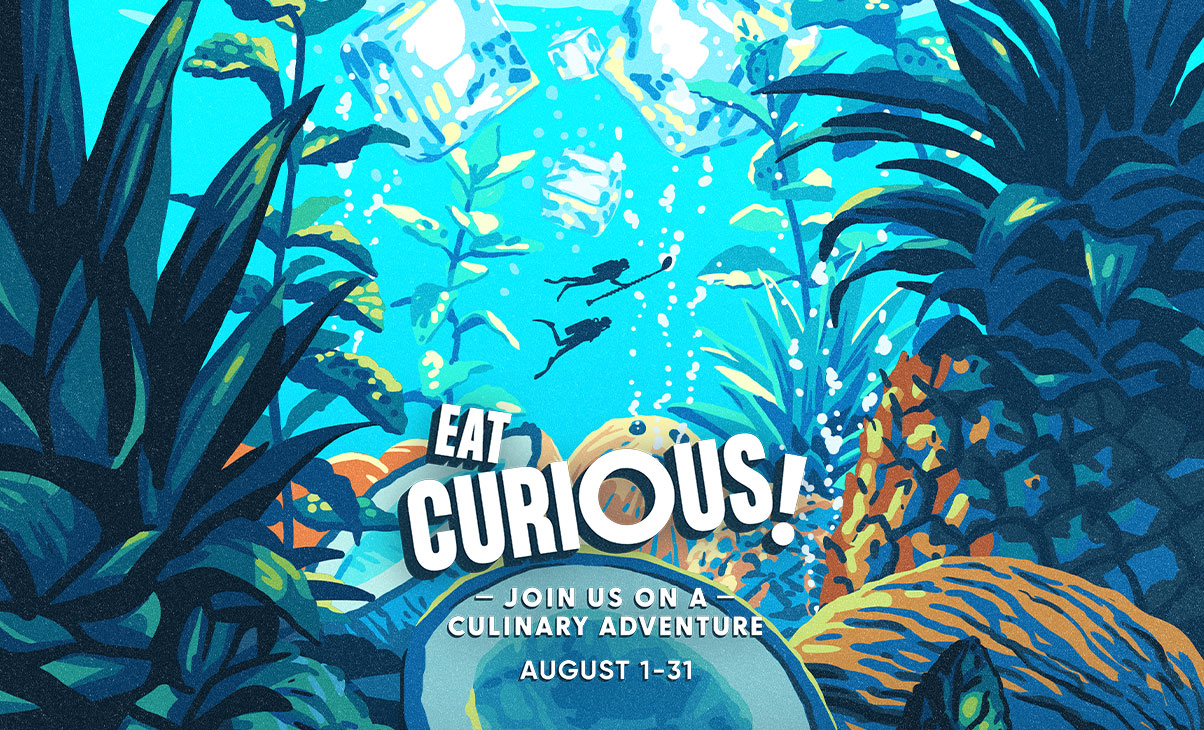 Standard Terms and Conditions | Visa Wellington On a Plate